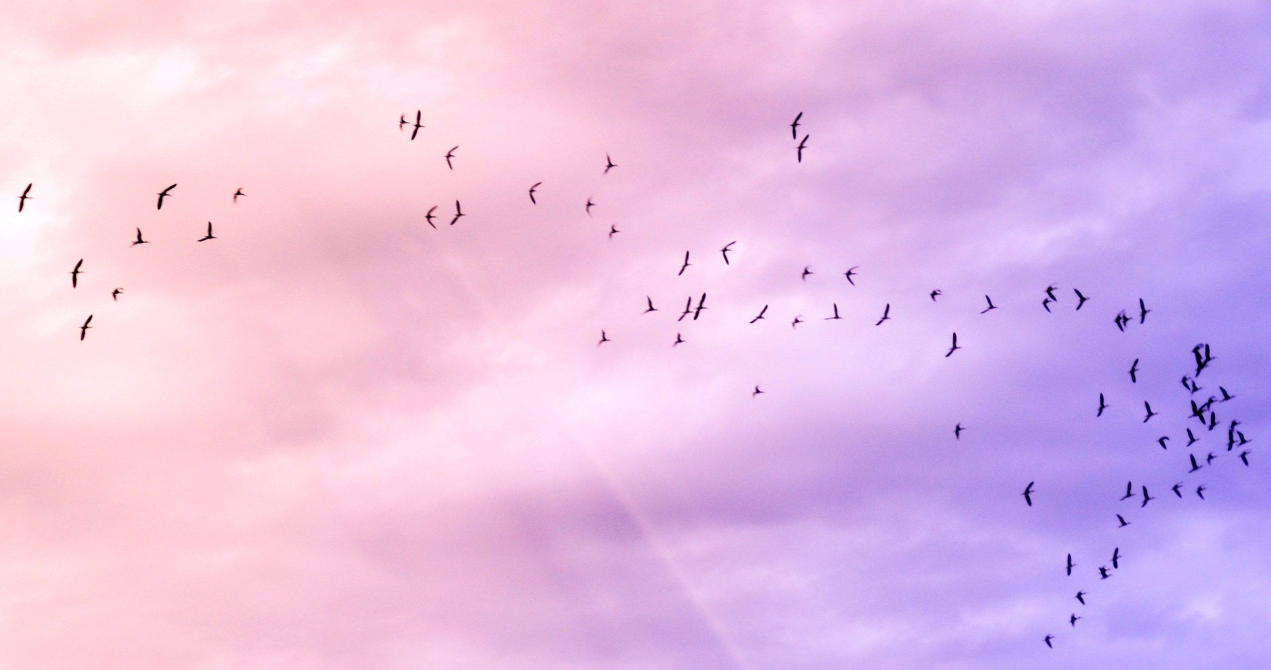 Migrating to the Cloud? Do it Faster with Data Virtualization ... Migrating to the Cloud? Do it Faster with Data Virtualization ...